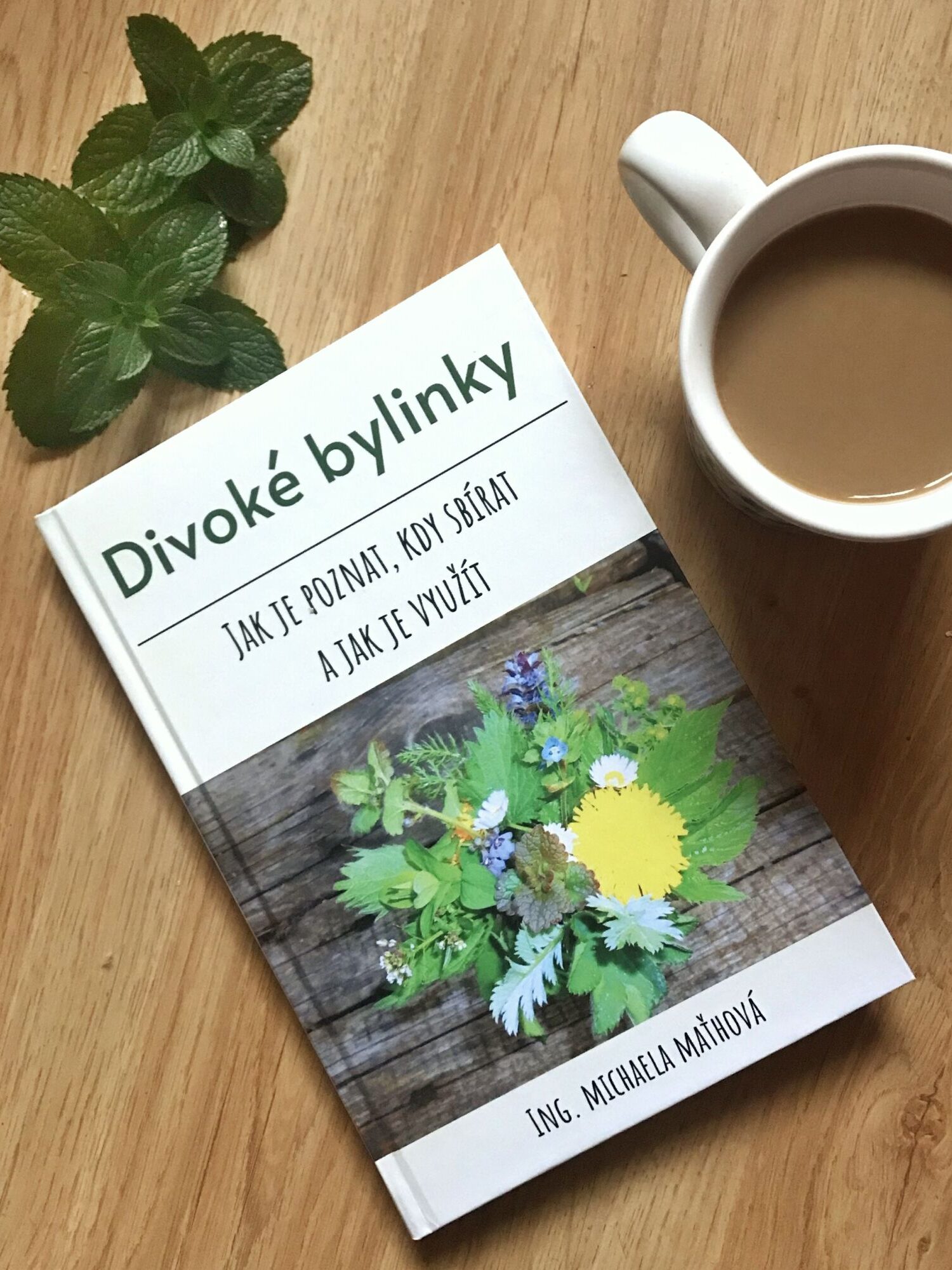 eBook DIVOKÉ BYLINKY | Bylinkový ráj